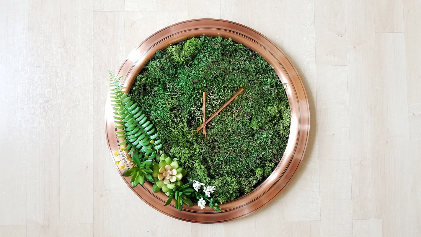 Eco-Friendly Moss Wall Clock – Sustainable Home Décor Statement Piece ...