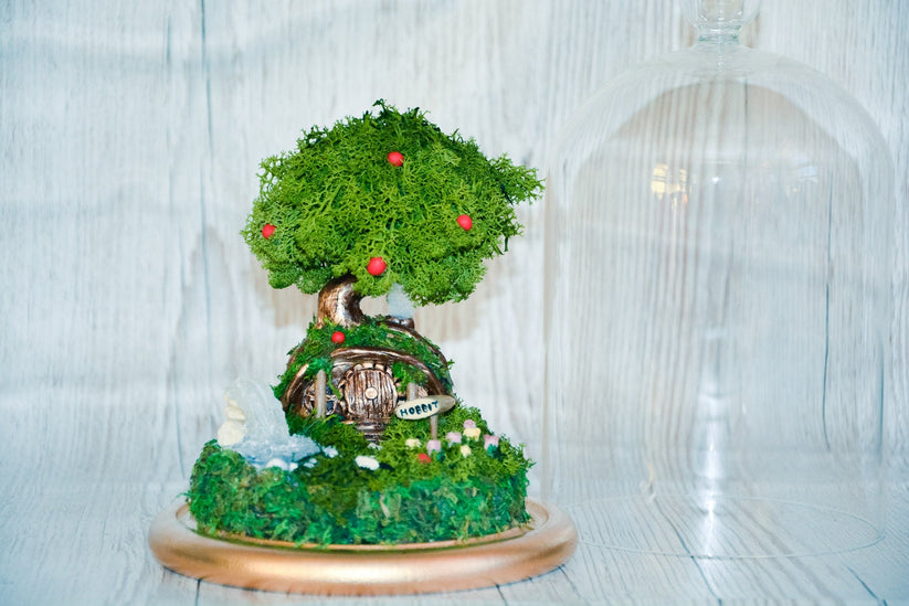 Hobbit House terrarium | Moss terrarium | RishStudio – mossartbyrishstudio