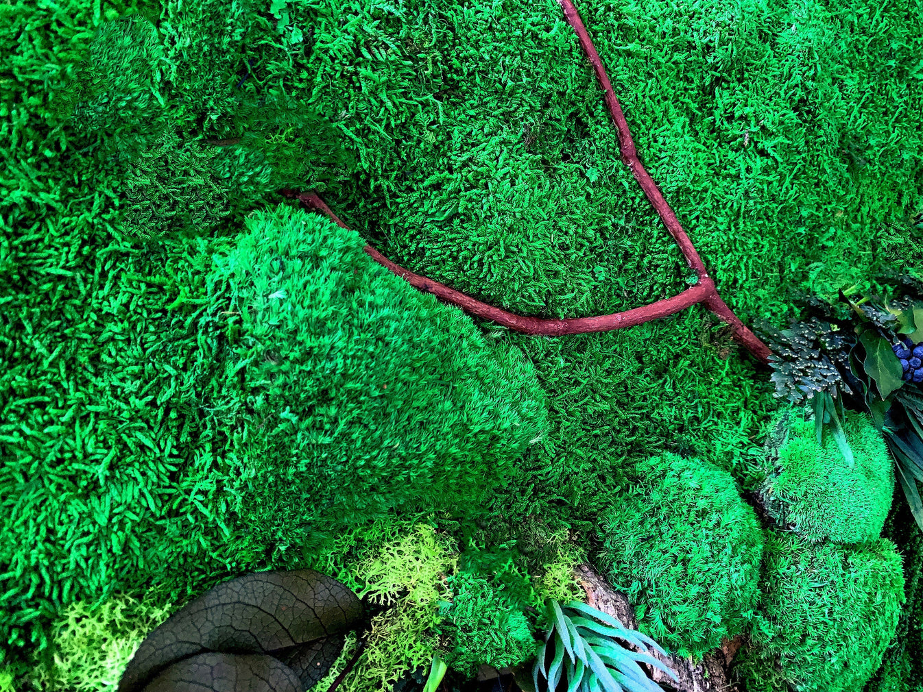 Circular Moss wall - bespoke and made to order | RishStudio ...