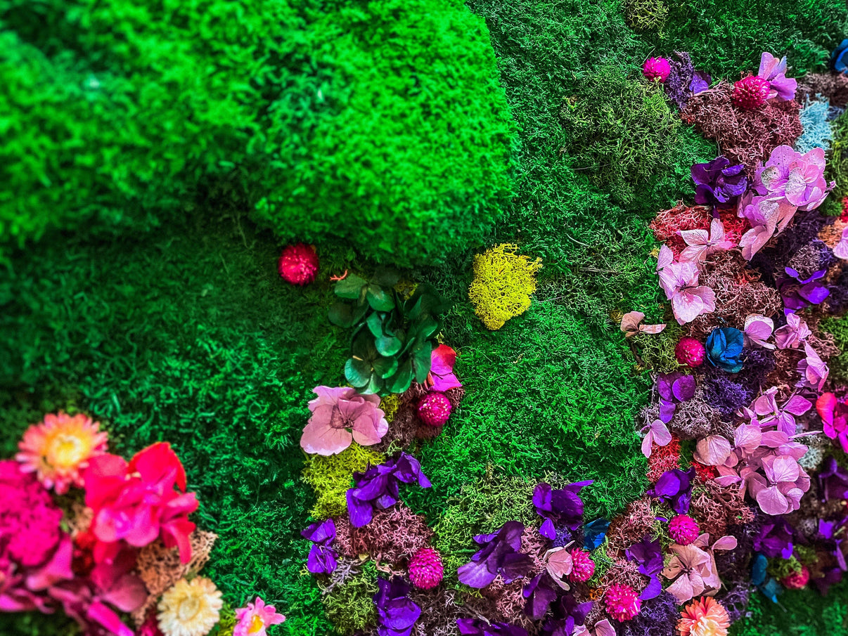 Preserved and dried flowers | Rainbow Moss wall art with flowers ...