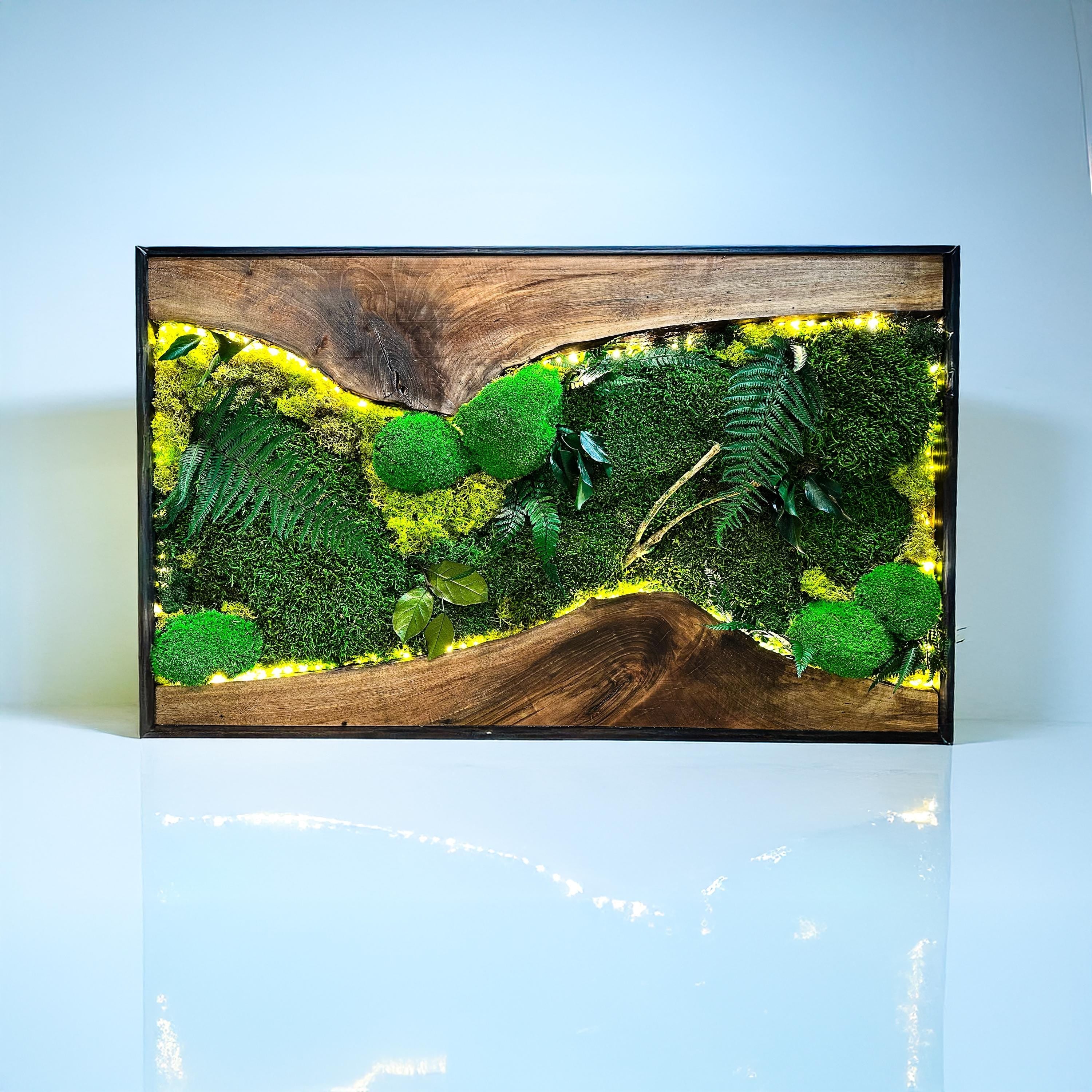 Eco-Friendly LED Moss Wall Art | Live Look with Natural Wood ...