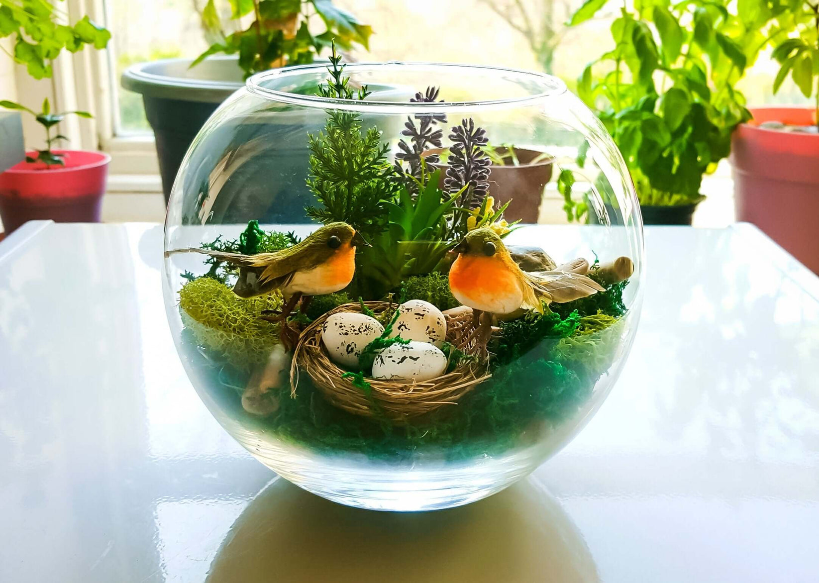 Moss Terrarium, Easter Eggs, Terrarium Kit | Rishstudio ...