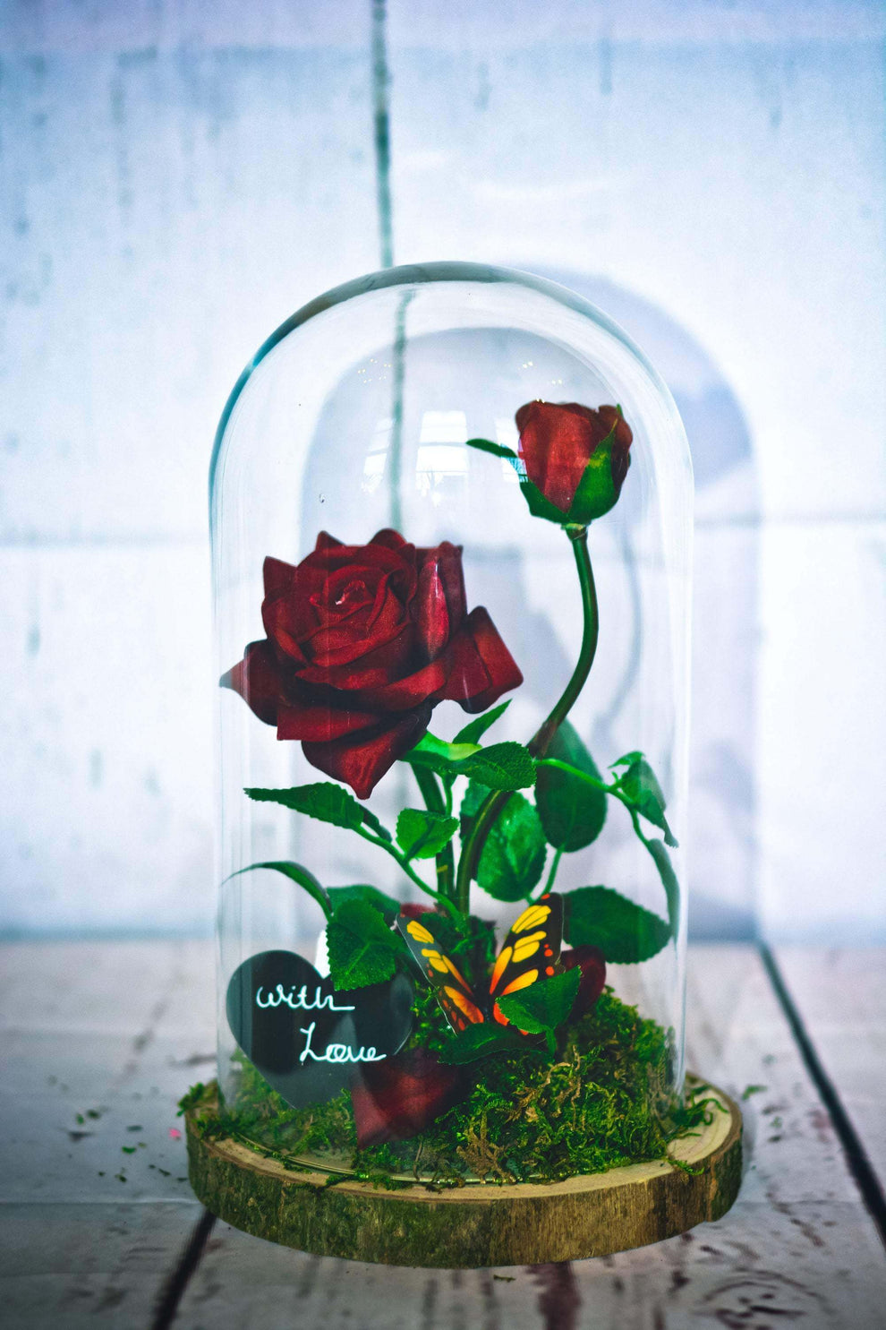 Enchanted Rose in Glass Dome | Rishstudio – mossartbyrishstudio
