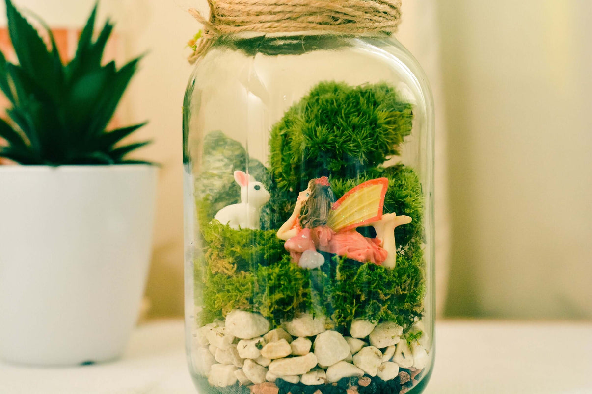 Terrarium kit, Mason jar Terrarium, DIY Terrarium Kit – mossartbyrishstudio