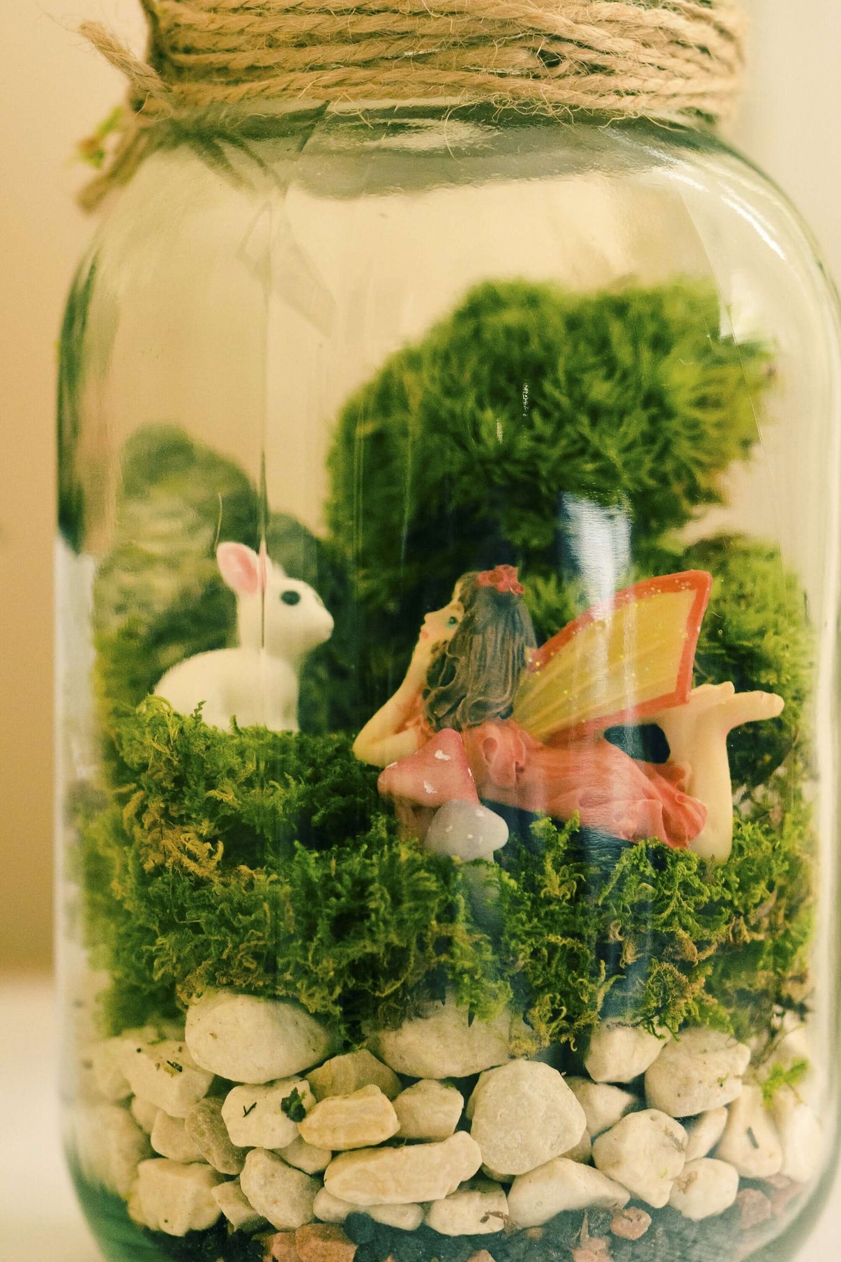 Terrarium kit, Mason jar Terrarium, DIY Terrarium Kit – mossartbyrishstudio