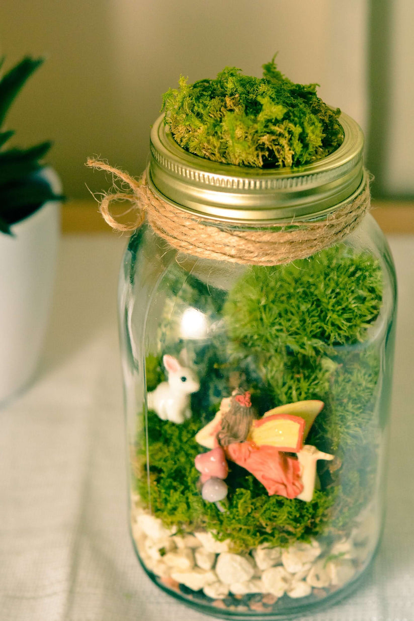 Terrarium kit, Mason jar Terrarium, DIY Terrarium Kit – mossartbyrishstudio