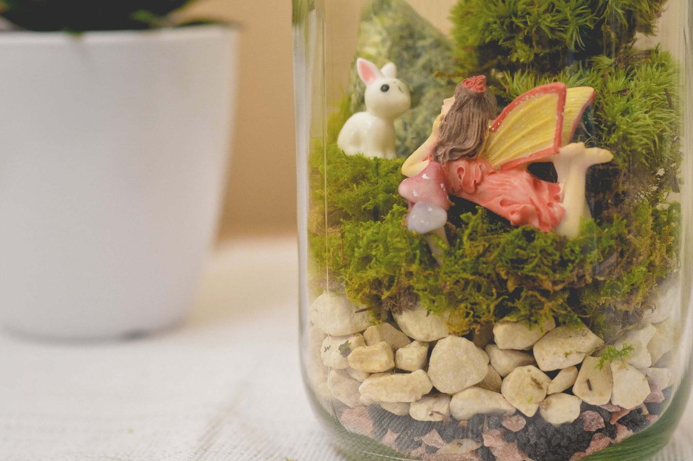 Terrarium kit, Mason jar Terrarium, DIY Terrarium Kit – mossartbyrishstudio