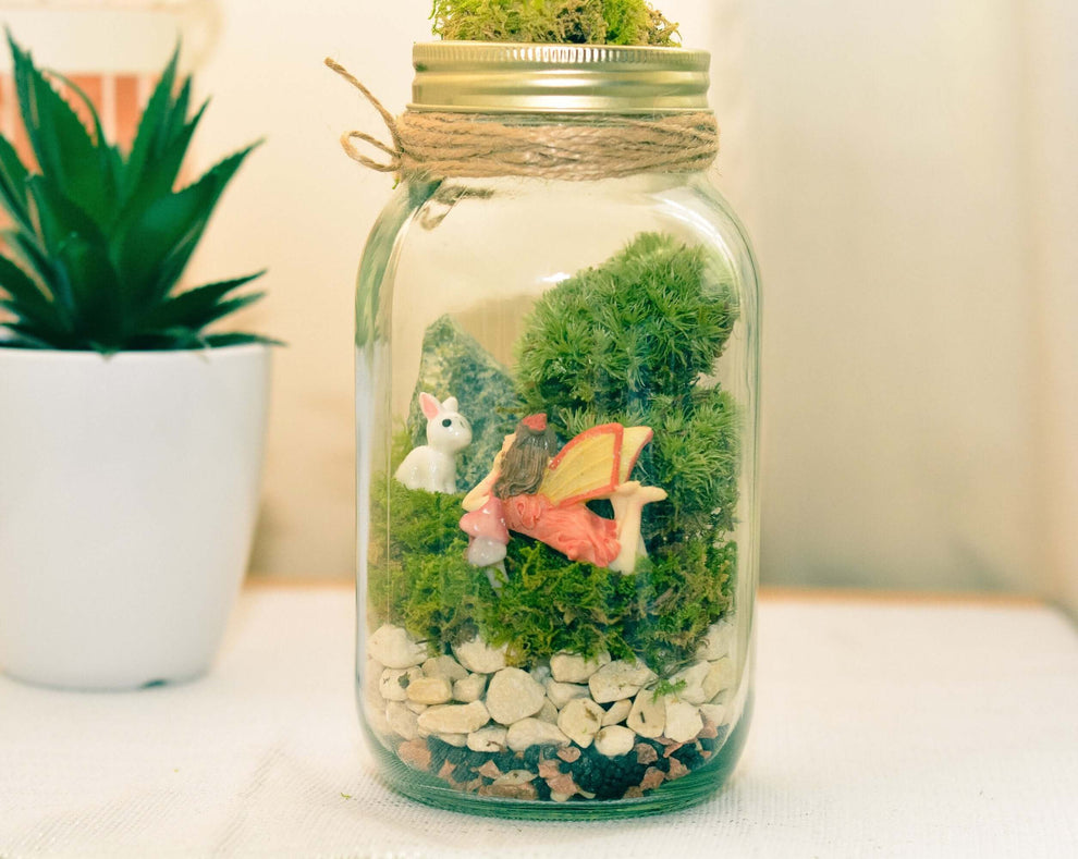 Terrarium kit, Mason jar Terrarium, DIY Terrarium Kit – mossartbyrishstudio