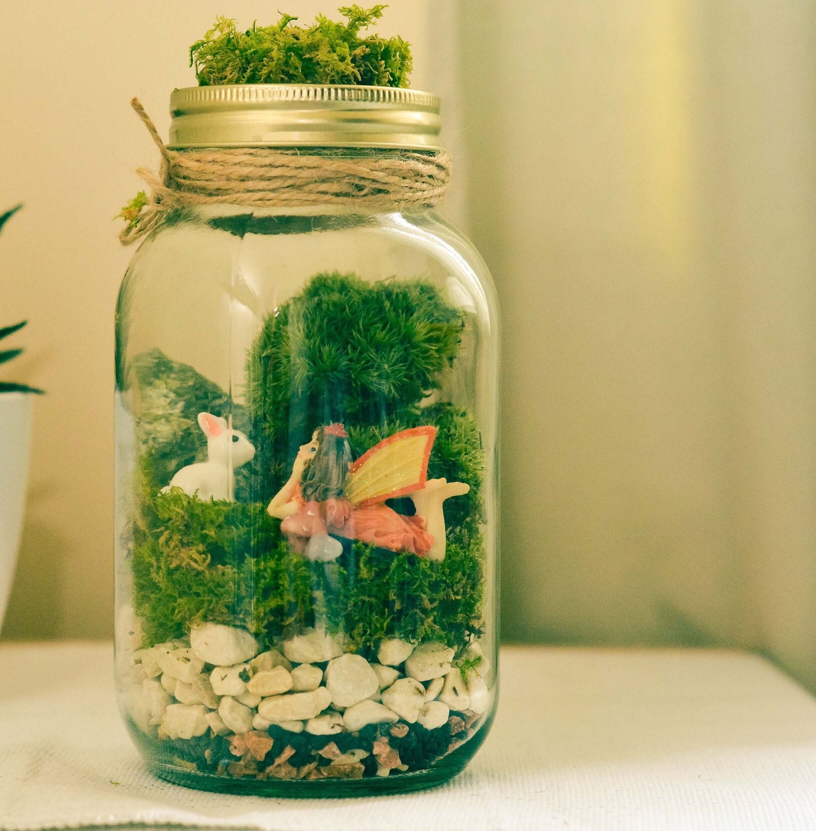 Terrarium kit, Mason jar Terrarium, DIY Terrarium Kit – mossartbyrishstudio