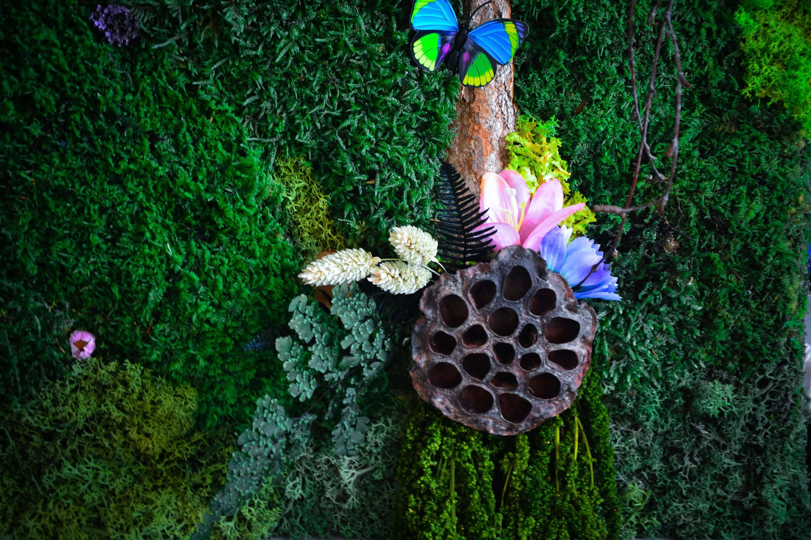 Sustainable Moss Wall Art – Eco Green Decor with Butterflies ...